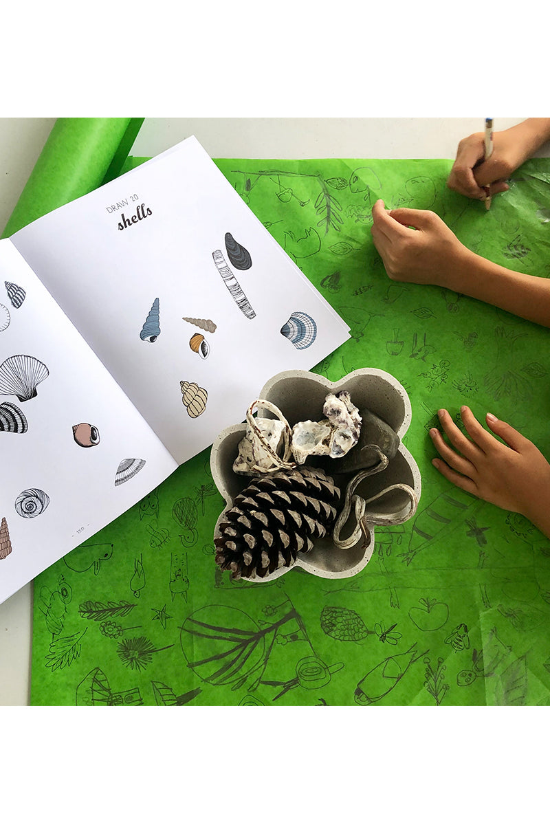 40gsm Colored Paper Rolls – Shop Griff Retail